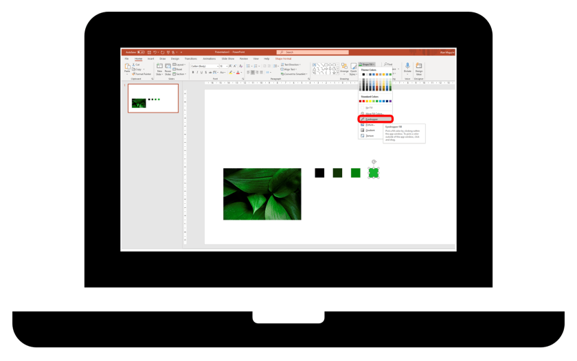 Document design principles: A guide for trainers and TAFE teachers – On ...
